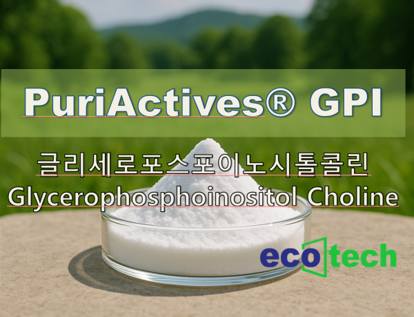 PuriActives® GPI 글리세로포스포이노시톨콜린 Glycerophosphoinositol Choline > Puripharm - Active | 에코텍아이앤씨